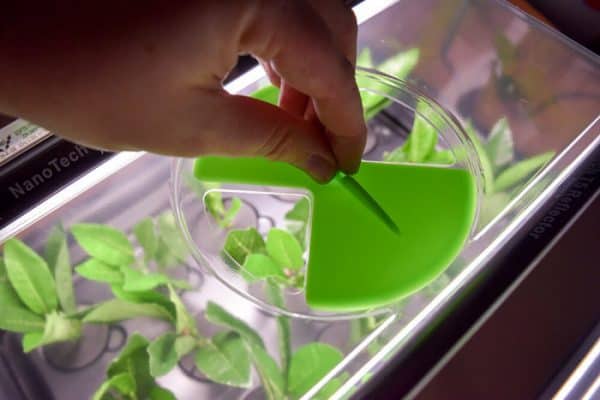 Hydropod 40 Cuttings Propagator - Greenhouse Sensation