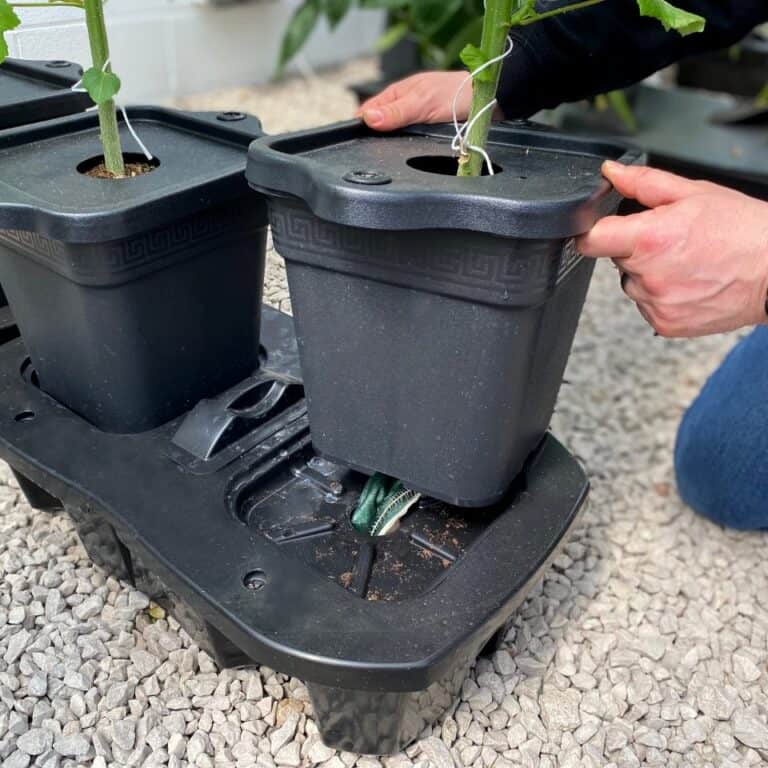Quadgrow Self-Watering Planter - Greenhouse Sensation