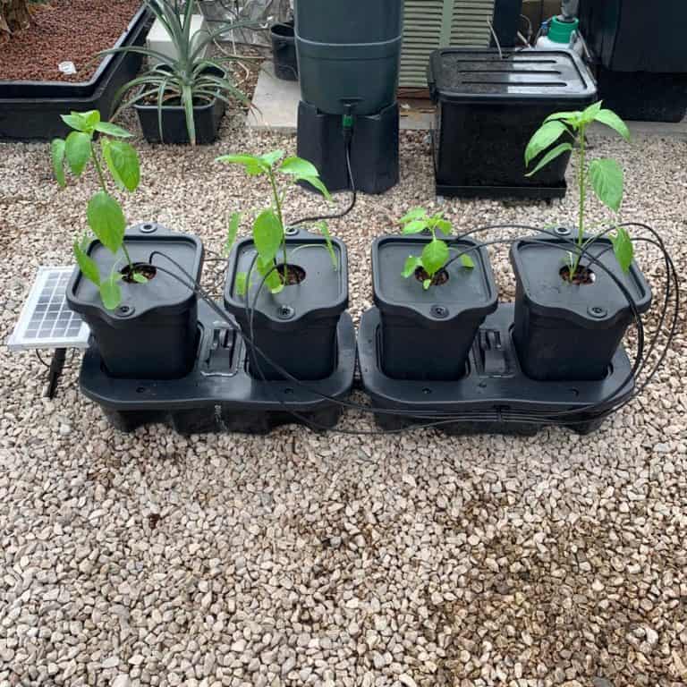 Mulch Caps For Quadgrow Self-Watering Planter (set of 4) - Greenhouse ...