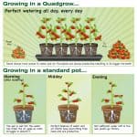 Quadgrow Self-Watering Planter - Greenhouse Sensation