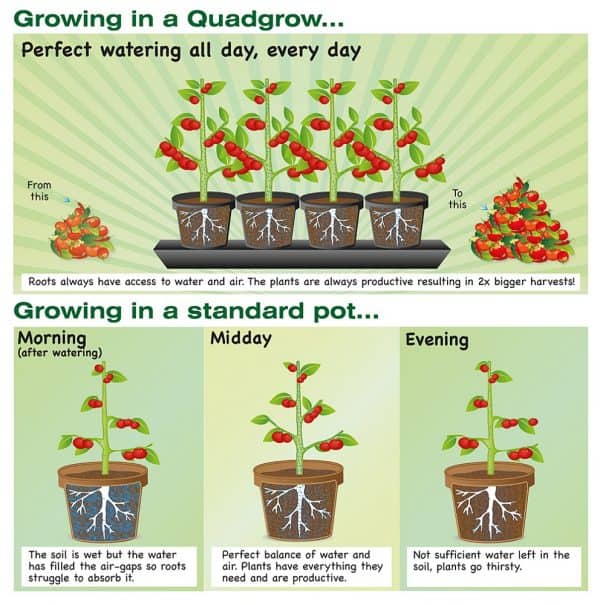 Quadgrow Self-Watering Planter - Greenhouse Sensation