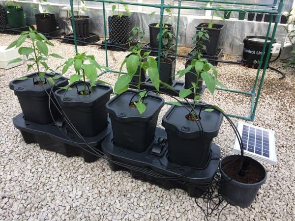 Mulch Caps For Quadgrow Self-Watering Planter (set of 4) - Greenhouse ...