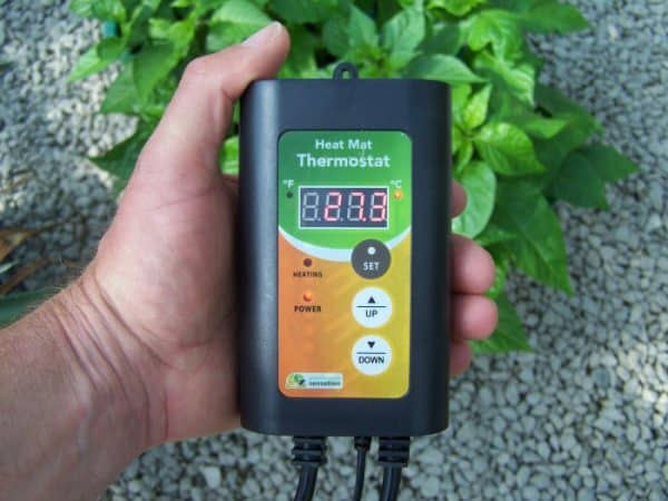 Digital Thermostat Controller - Greenhouse Sensation