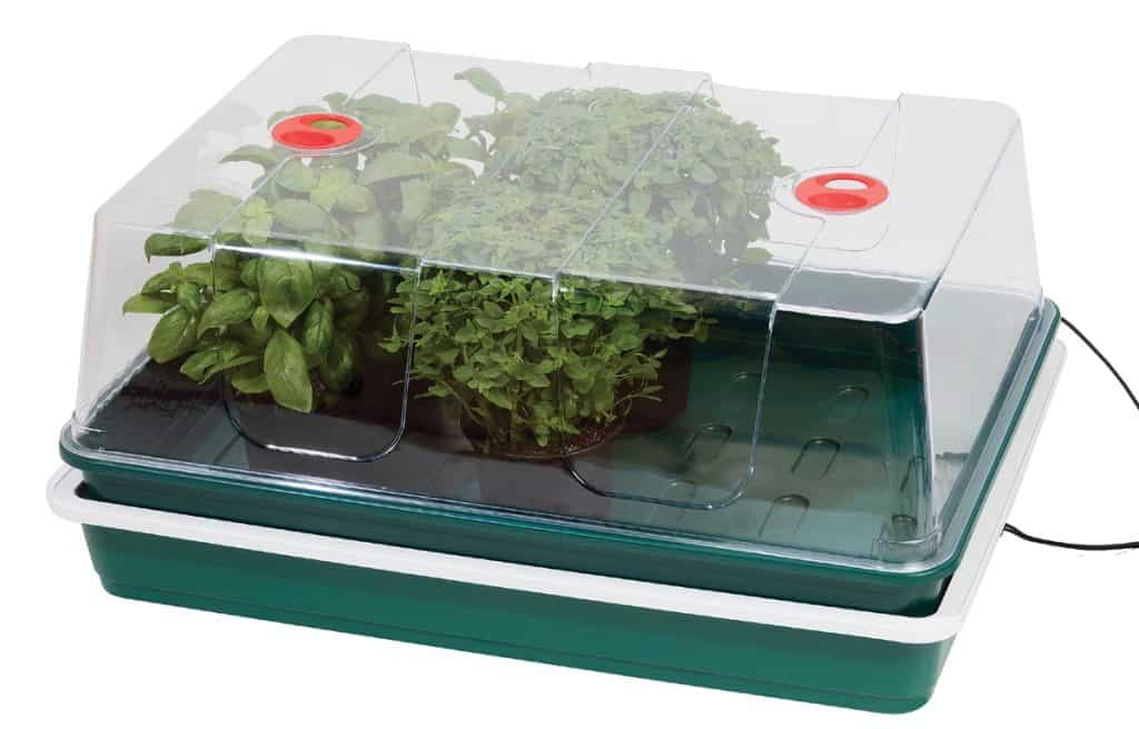 Professional Variable Temperature Control Electric Propagator ...