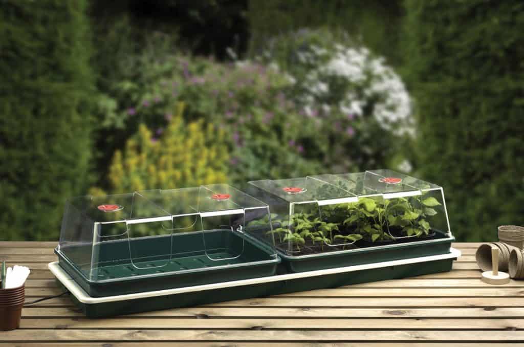 Jumbo Professional Variable Temperature Control Electric Propagator ...