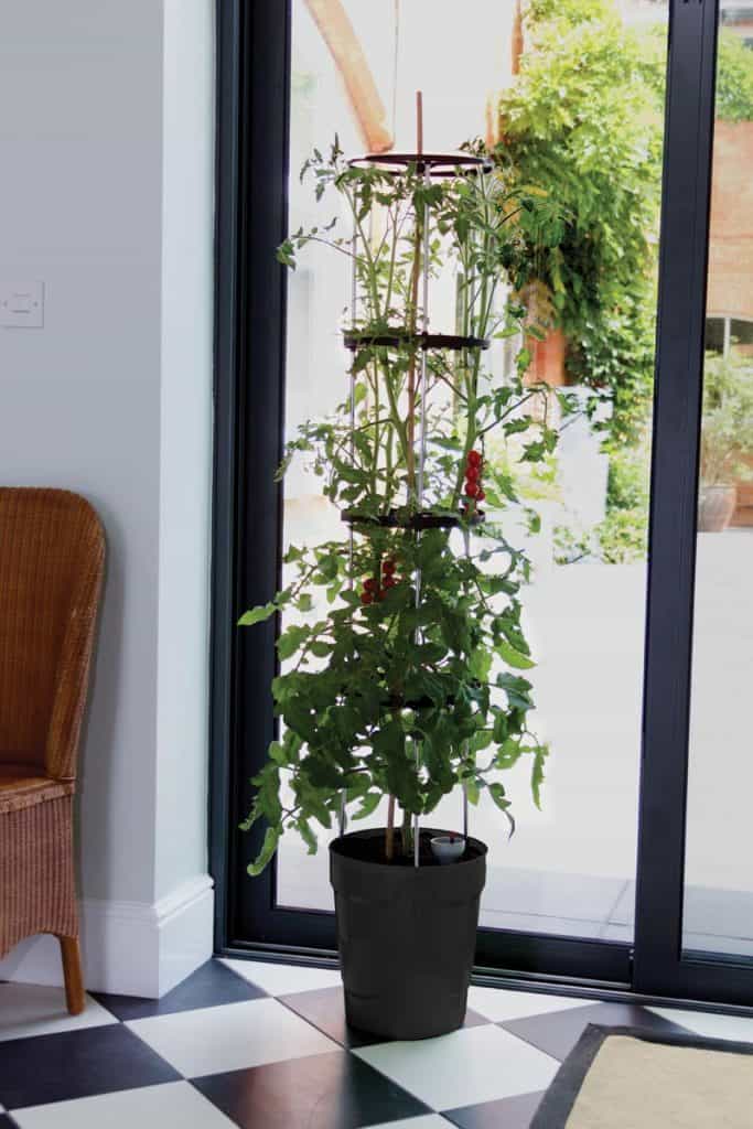 Self Watering Grow Pot Tower Anthracite - Greenhouse Sensation