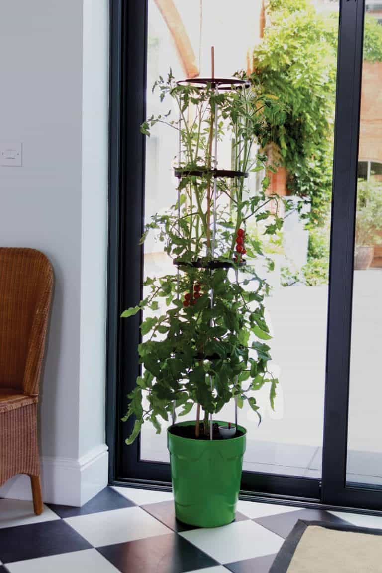 Self Watering Grow Pot Tower Green - Greenhouse Sensation