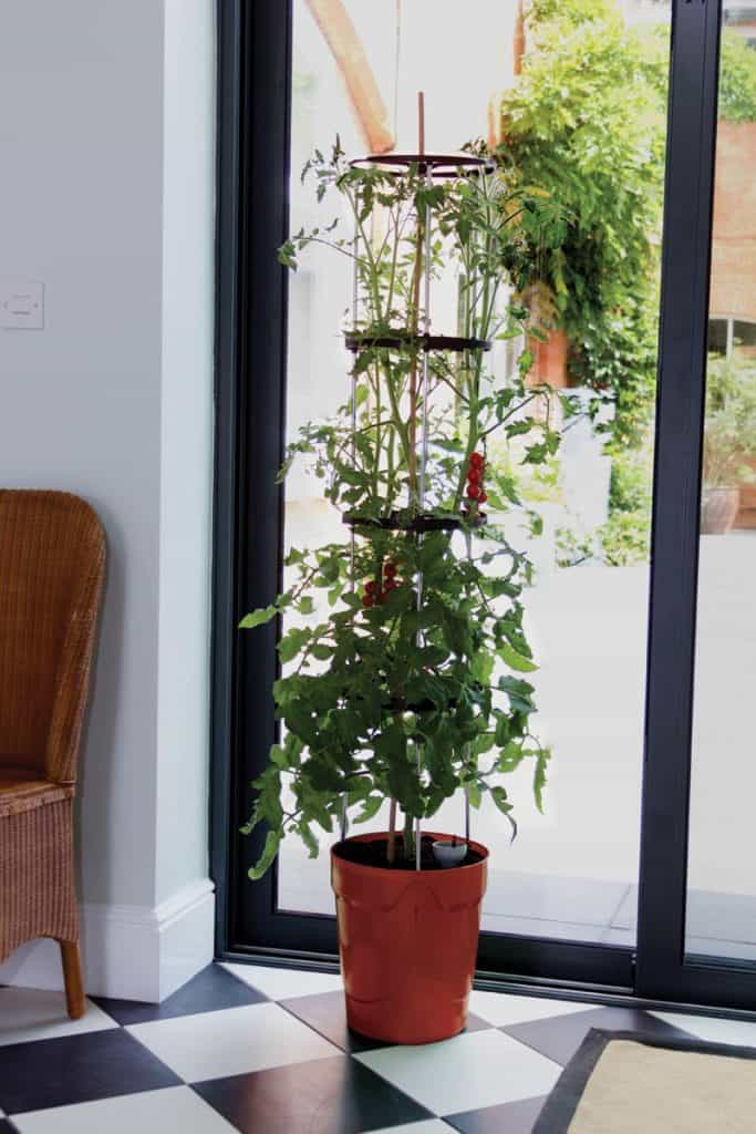 Self Watering Grow Pot Tower Red - Greenhouse Sensation