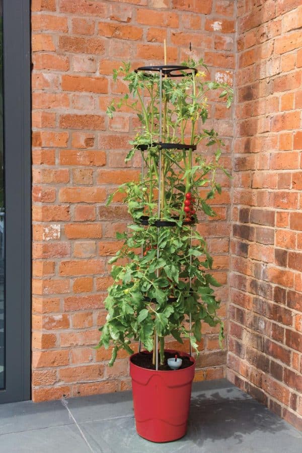 Self Watering Grow Pot Tower Red - Greenhouse Sensation