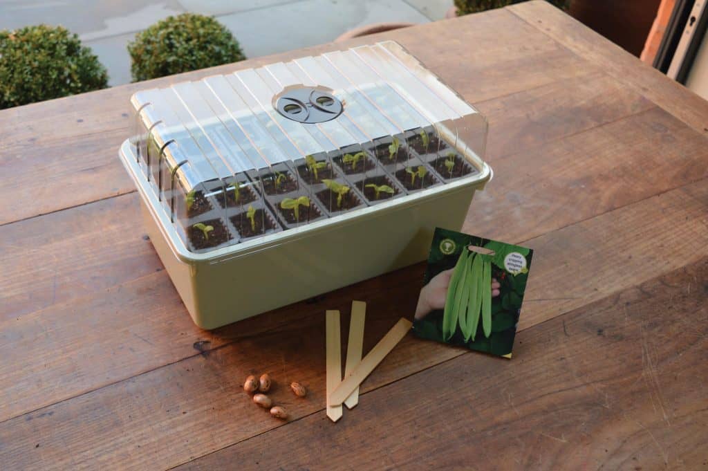 28 Cell Deep Root Success Kit - Greenhouse Sensation