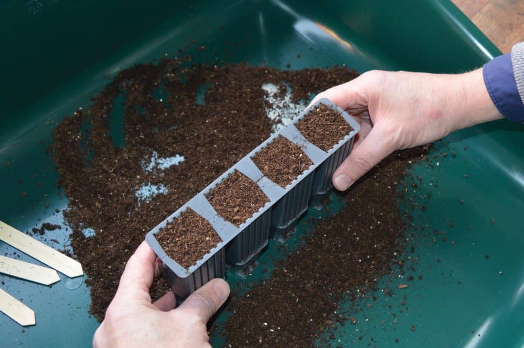 28 Cell Deep Root Success Kit - Greenhouse Sensation