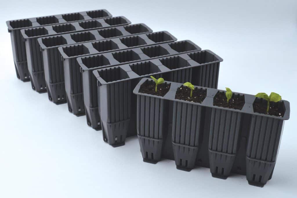 28 Deep Root Plant Cells - Greenhouse Sensation