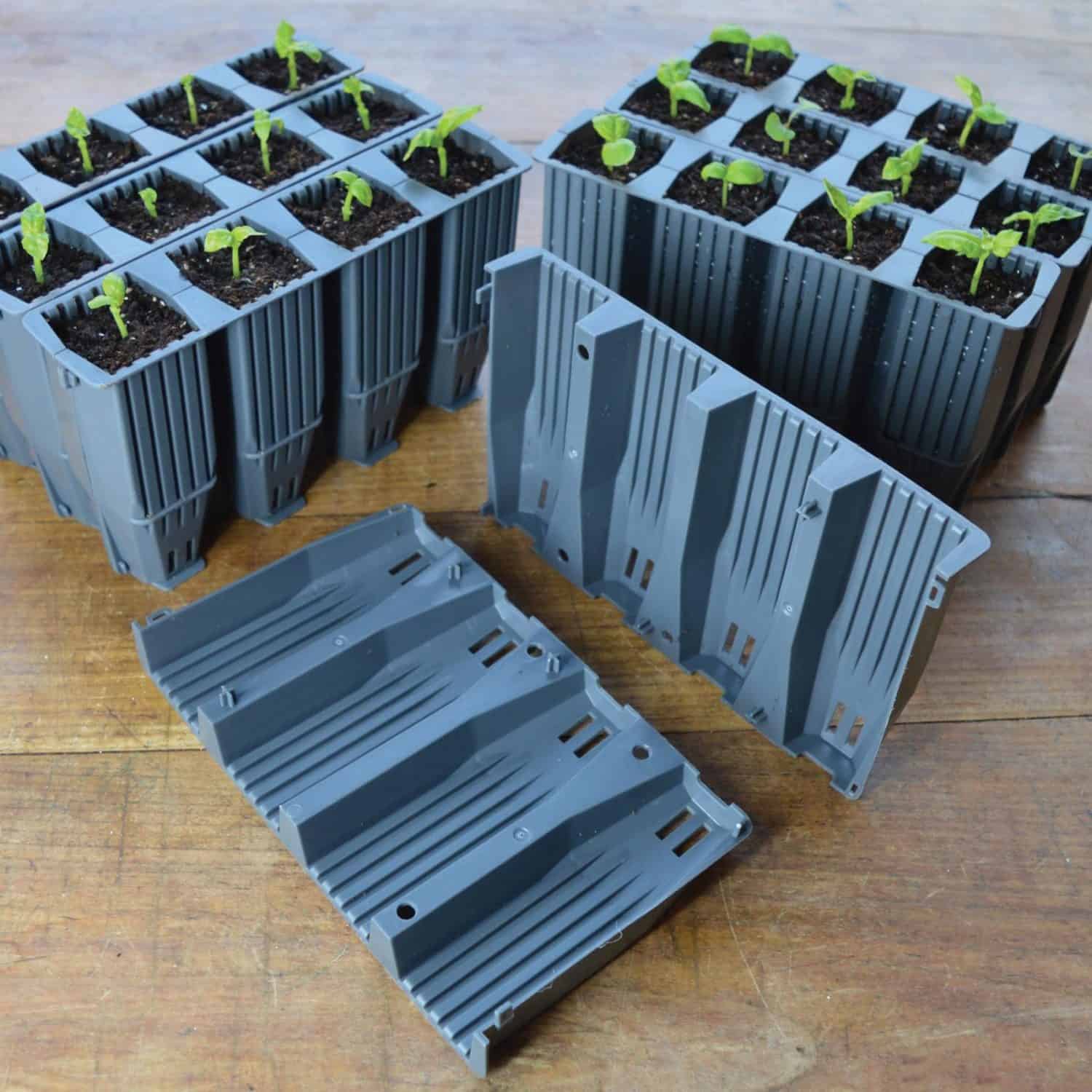 28 Deep Root Plant Cells - Greenhouse Sensation