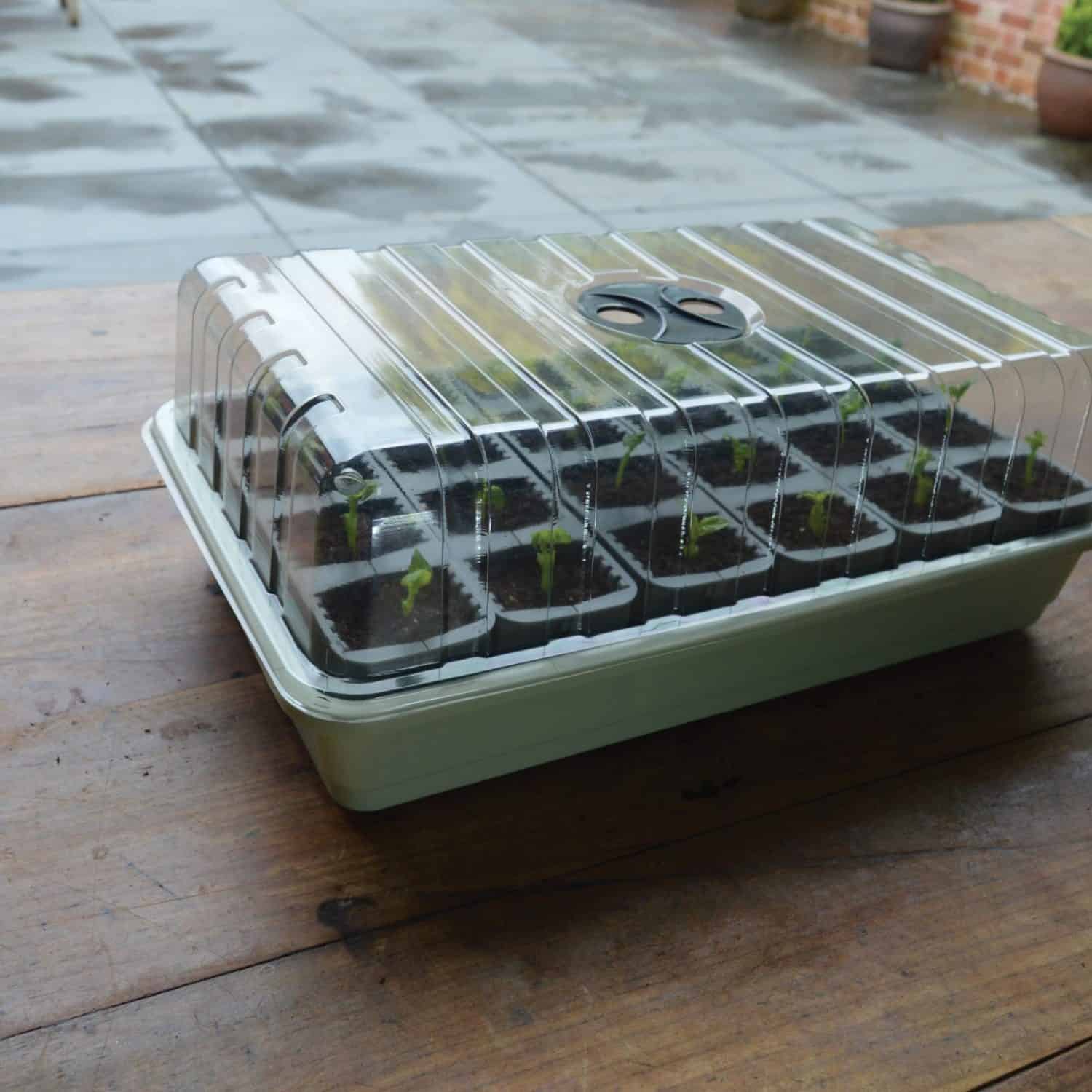 24 Cell Self Watering Fast Root Success Kit - Greenhouse Sensation