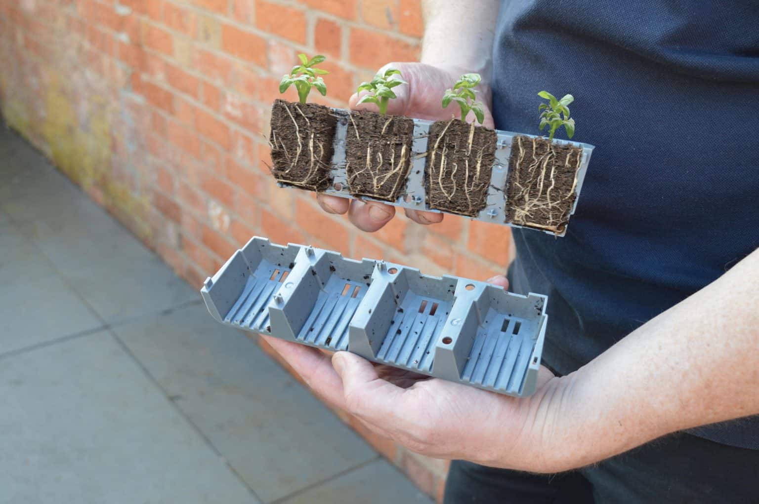 24 Cell Self Watering Fast Root Success Kit - Greenhouse Sensation