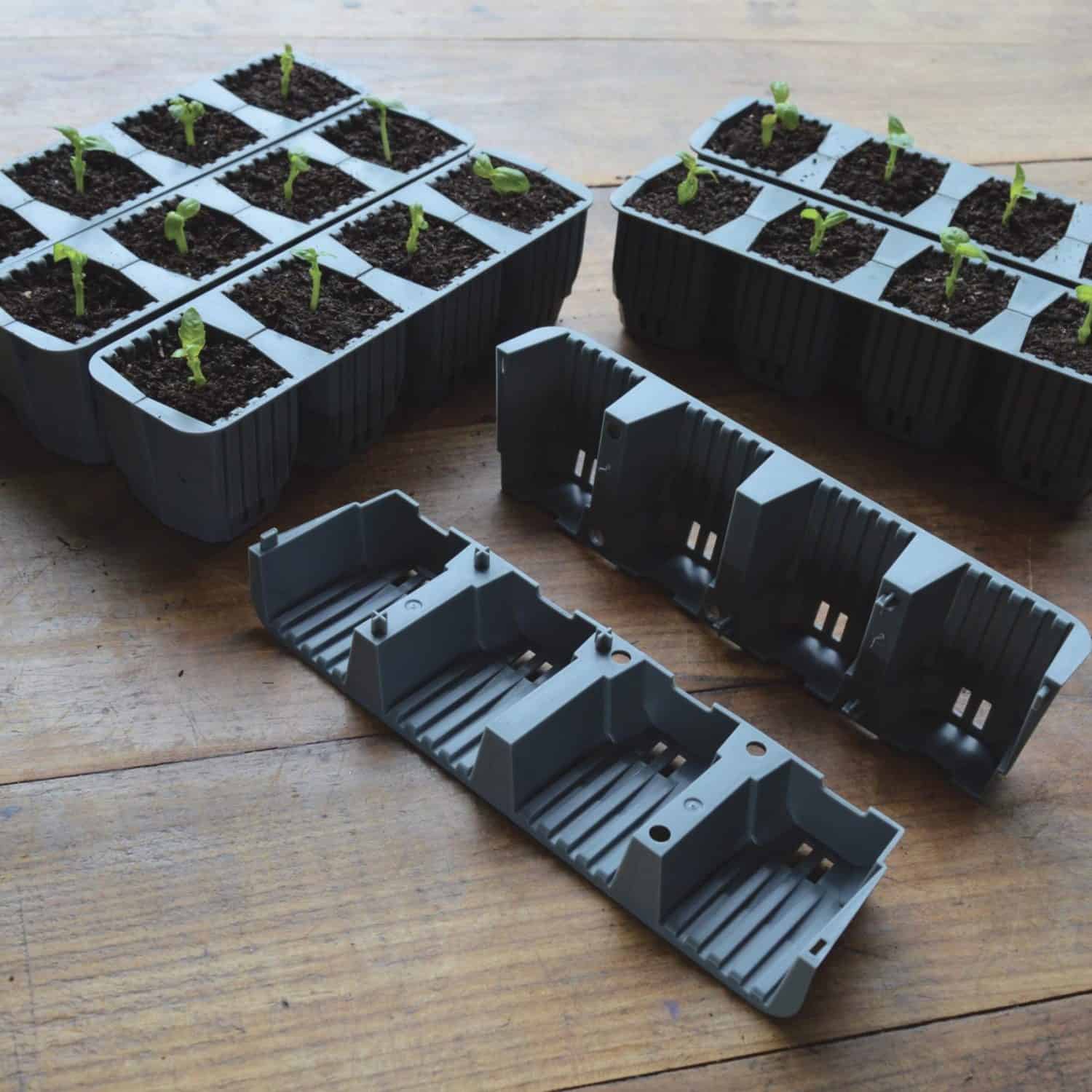 24 Fast Root Plant Cells - Greenhouse Sensation