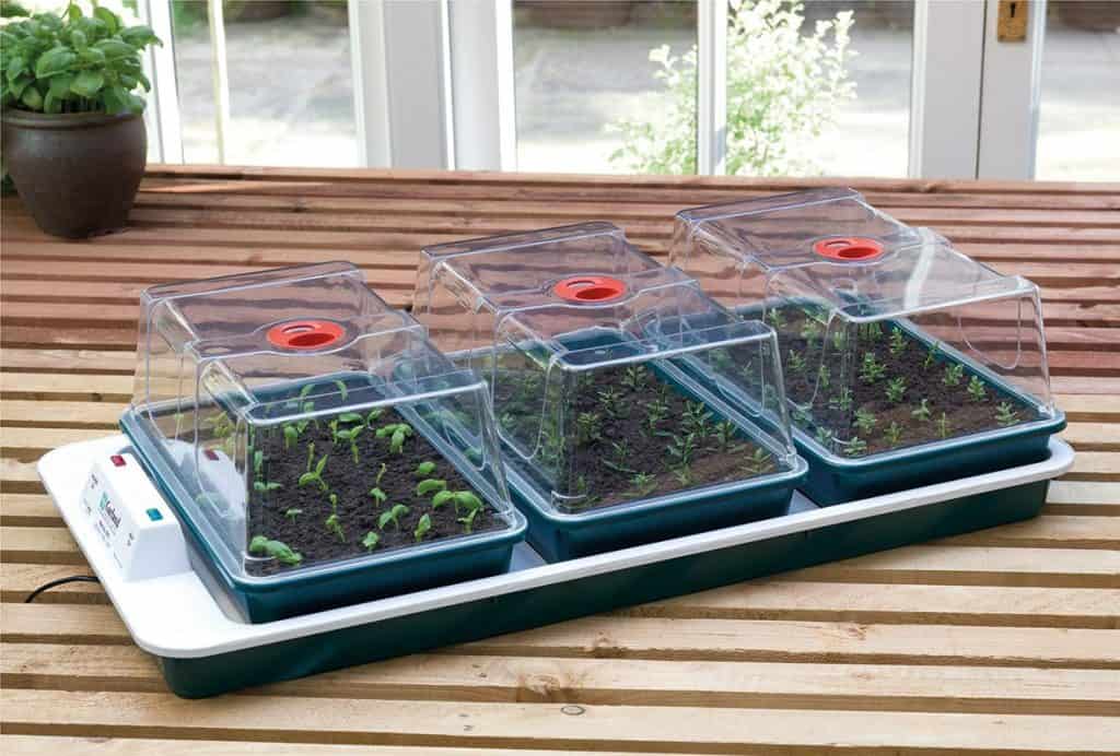 Big 3 Automatic Temperature Control Electric Propagator - Greenhouse ...