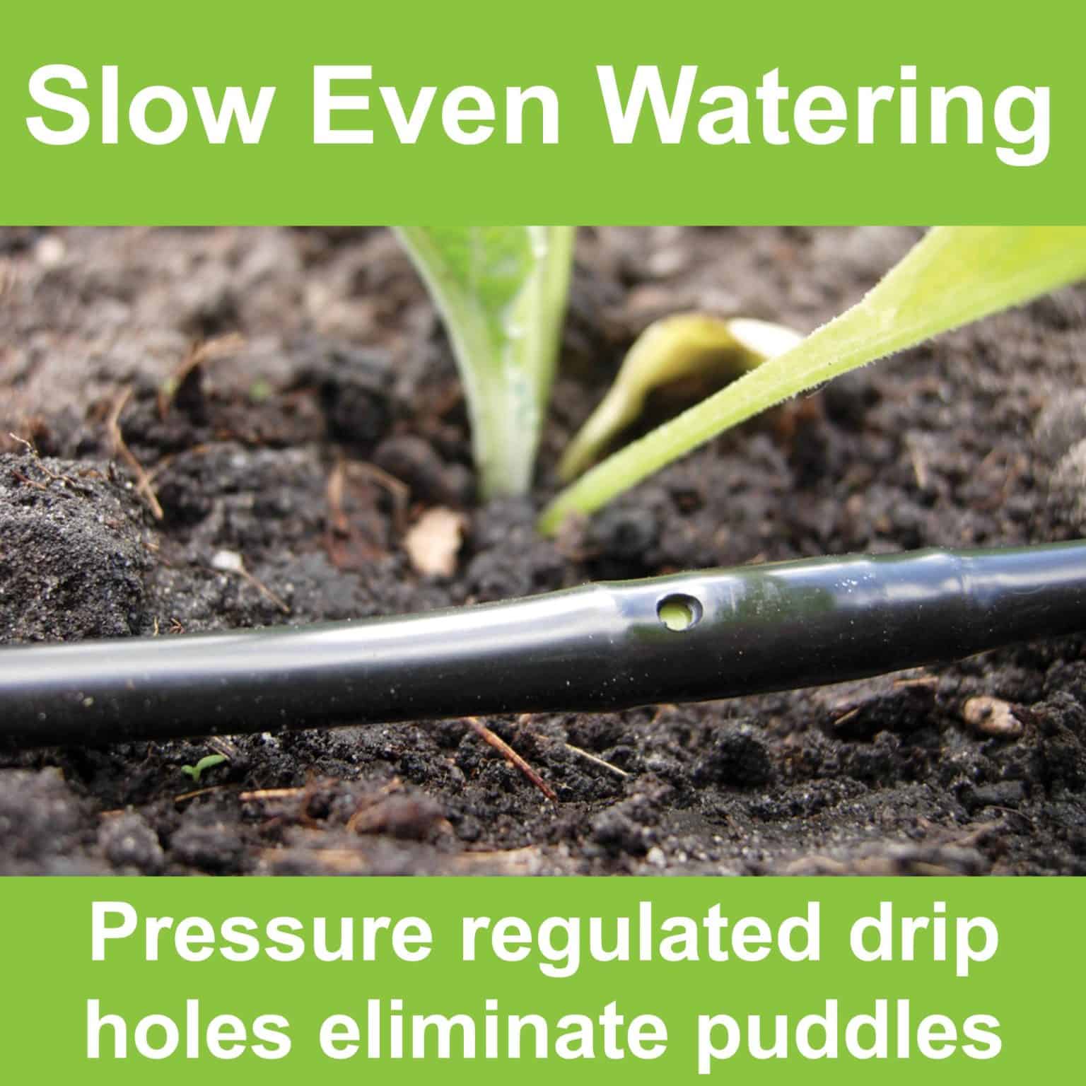 Click & Drip Water Butt Kit 10m With Timer - Greenhouse Sensation