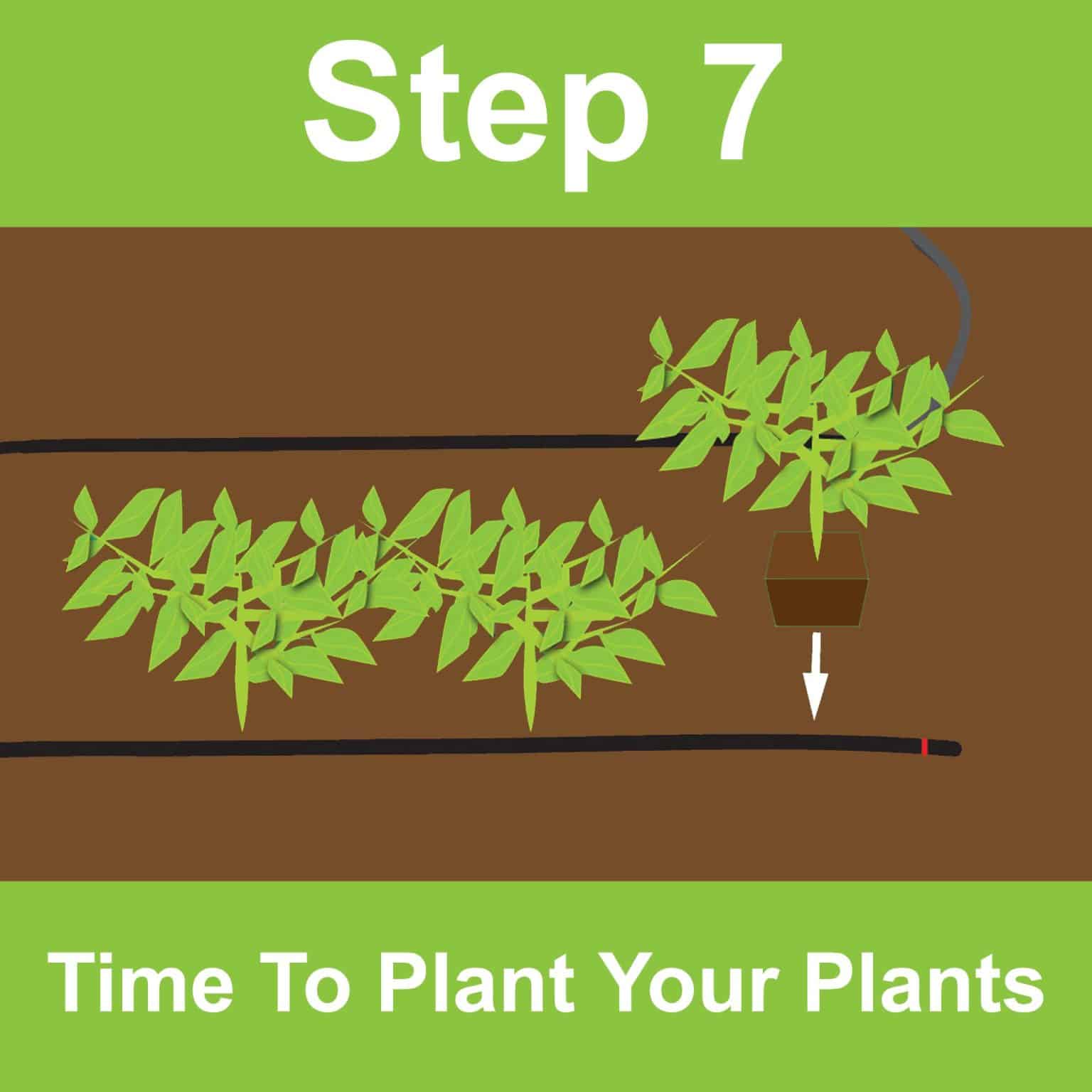 Click & Drip Water Butt Kit 10m With Timer - Greenhouse Sensation