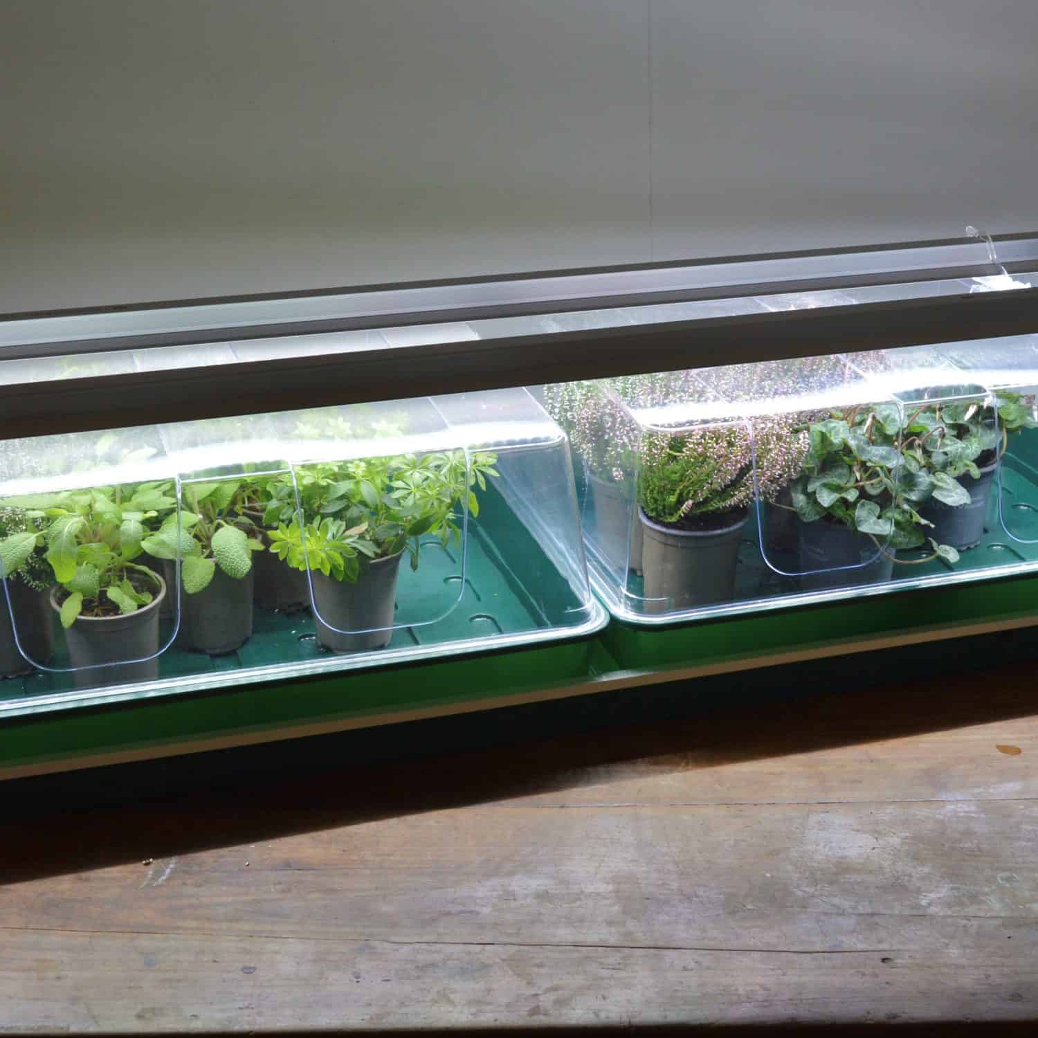 120cm LED Propagator Light Kit (64W) - Greenhouse Sensation