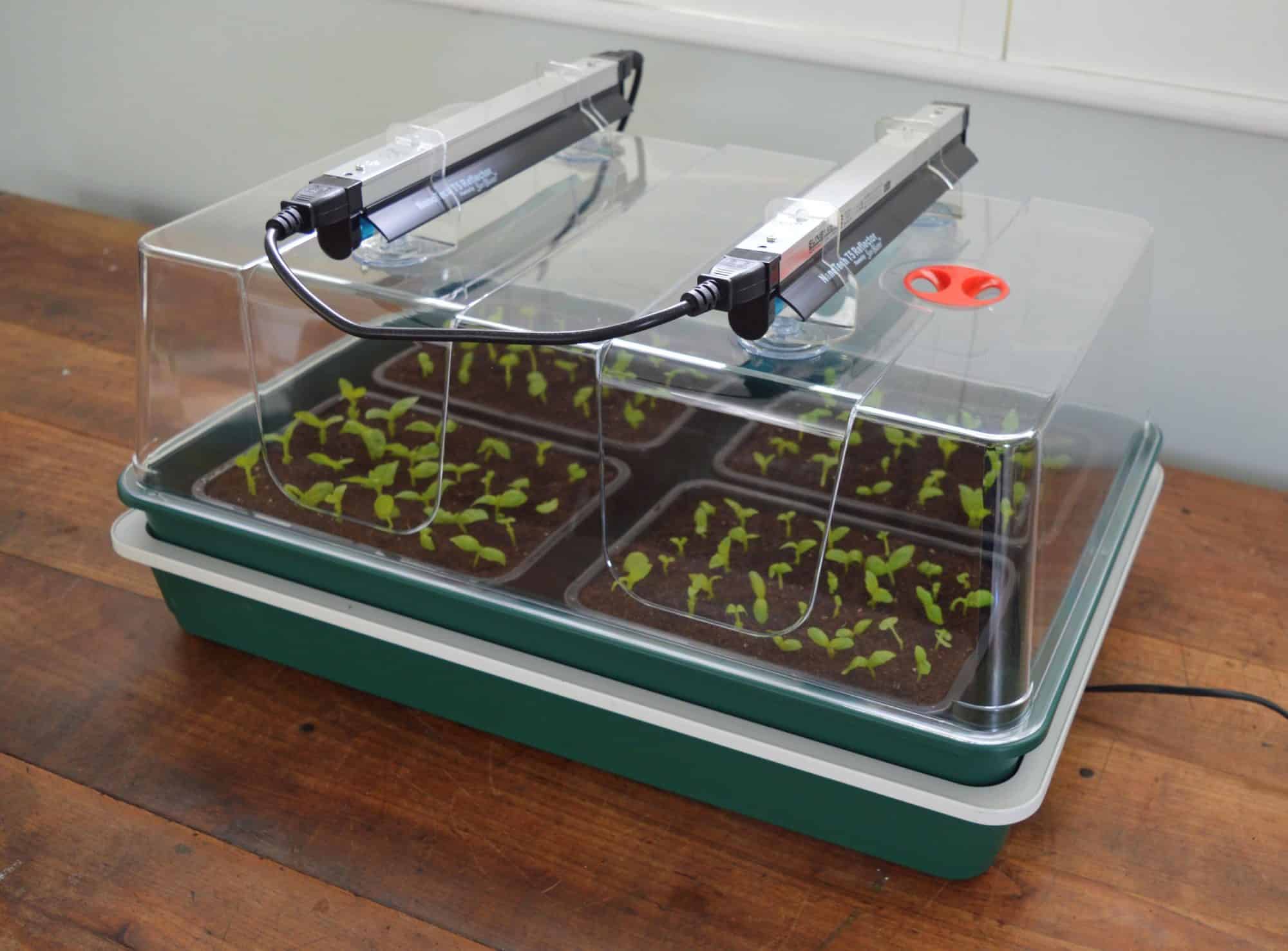 30cm T5 Propagator Light Kit (22W) - Greenhouse Sensation