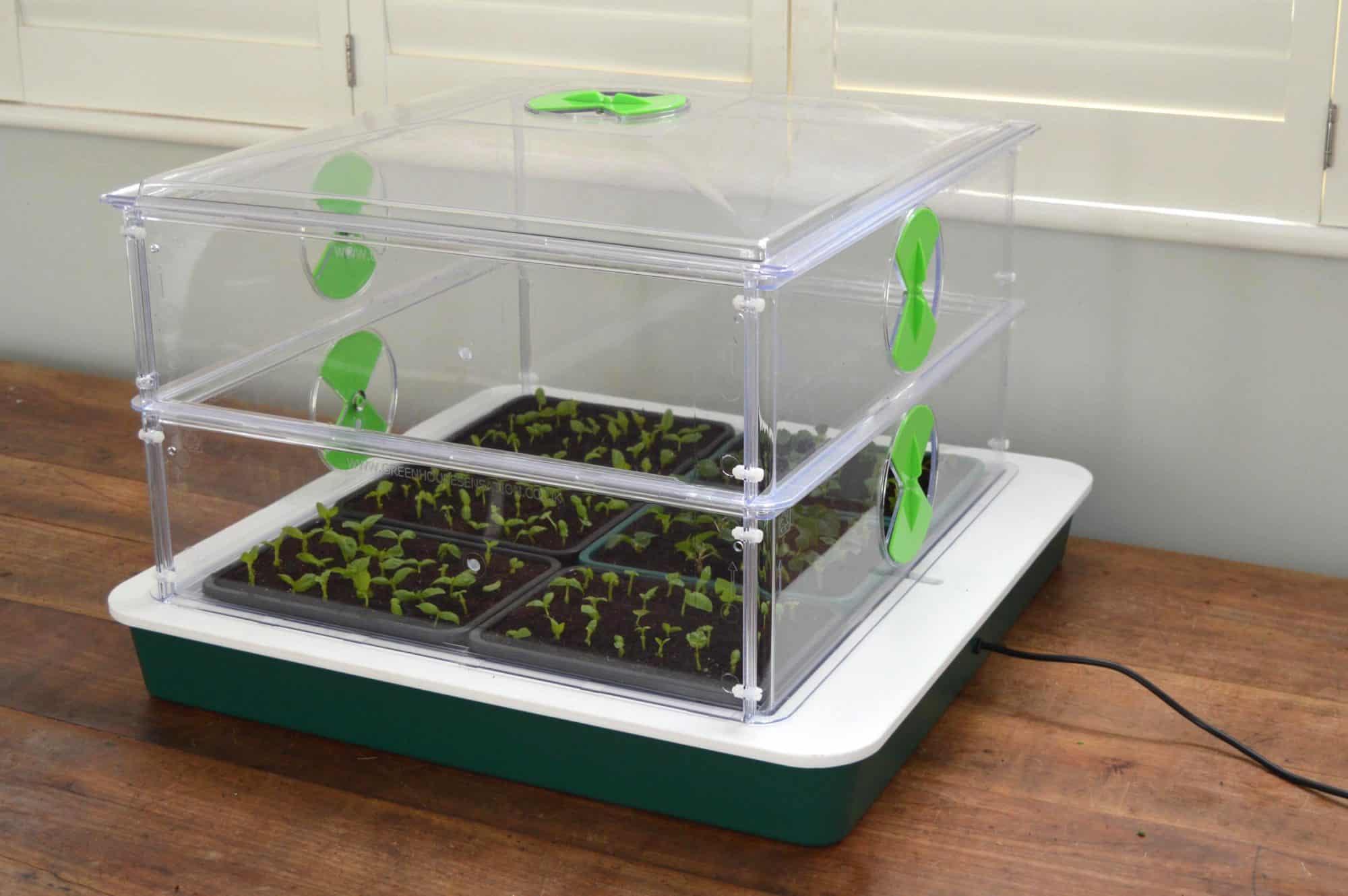 New Small Vitopod Electric Variable Temperature Control Propagator ...