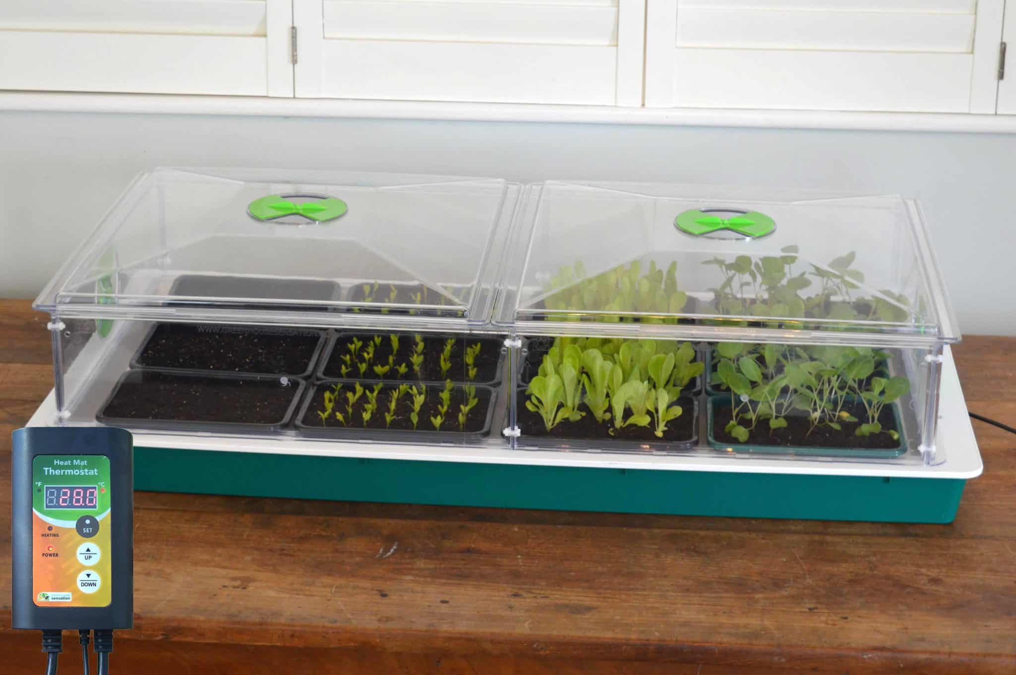 New Large Vitopod Electric Variable Temperature Control Propagator ...