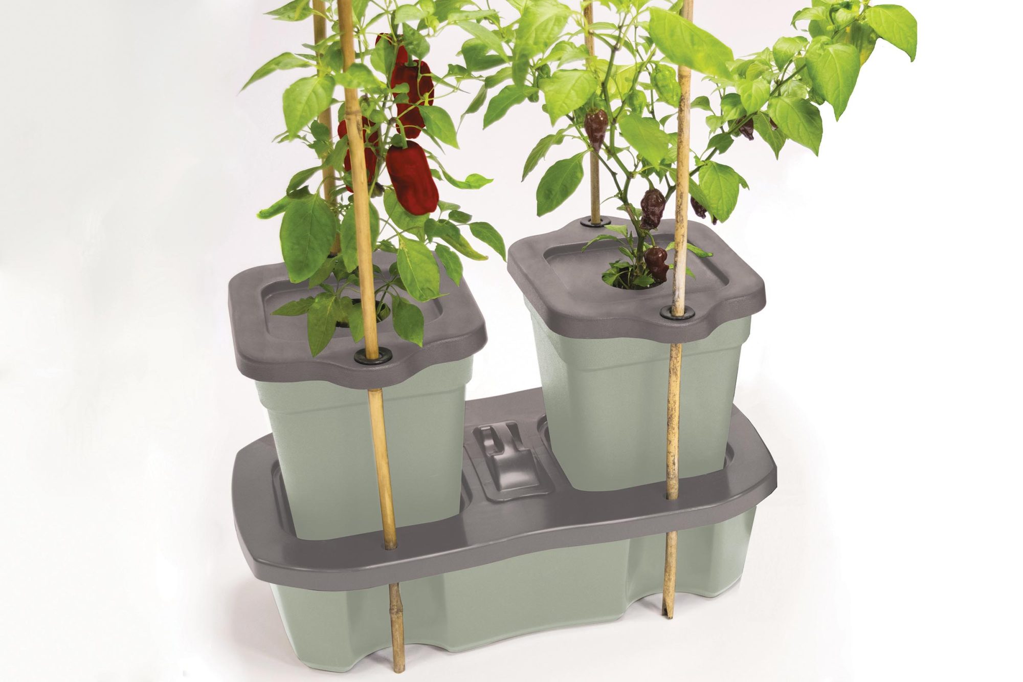 Duogrow Self Watering Planter - Greenhouse Sensation