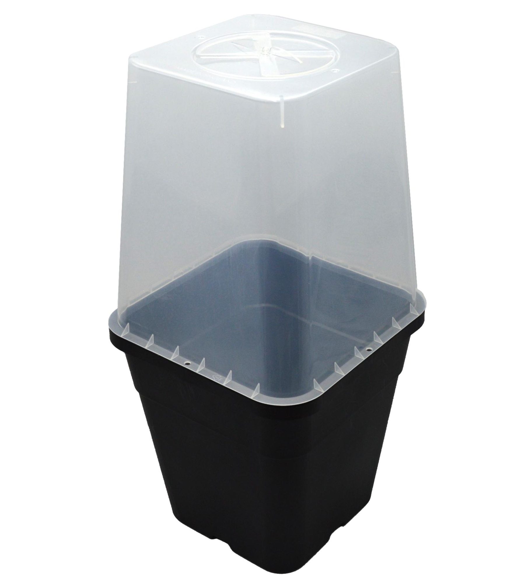25cm Square Cloche Cover - Greenhouse Sensation