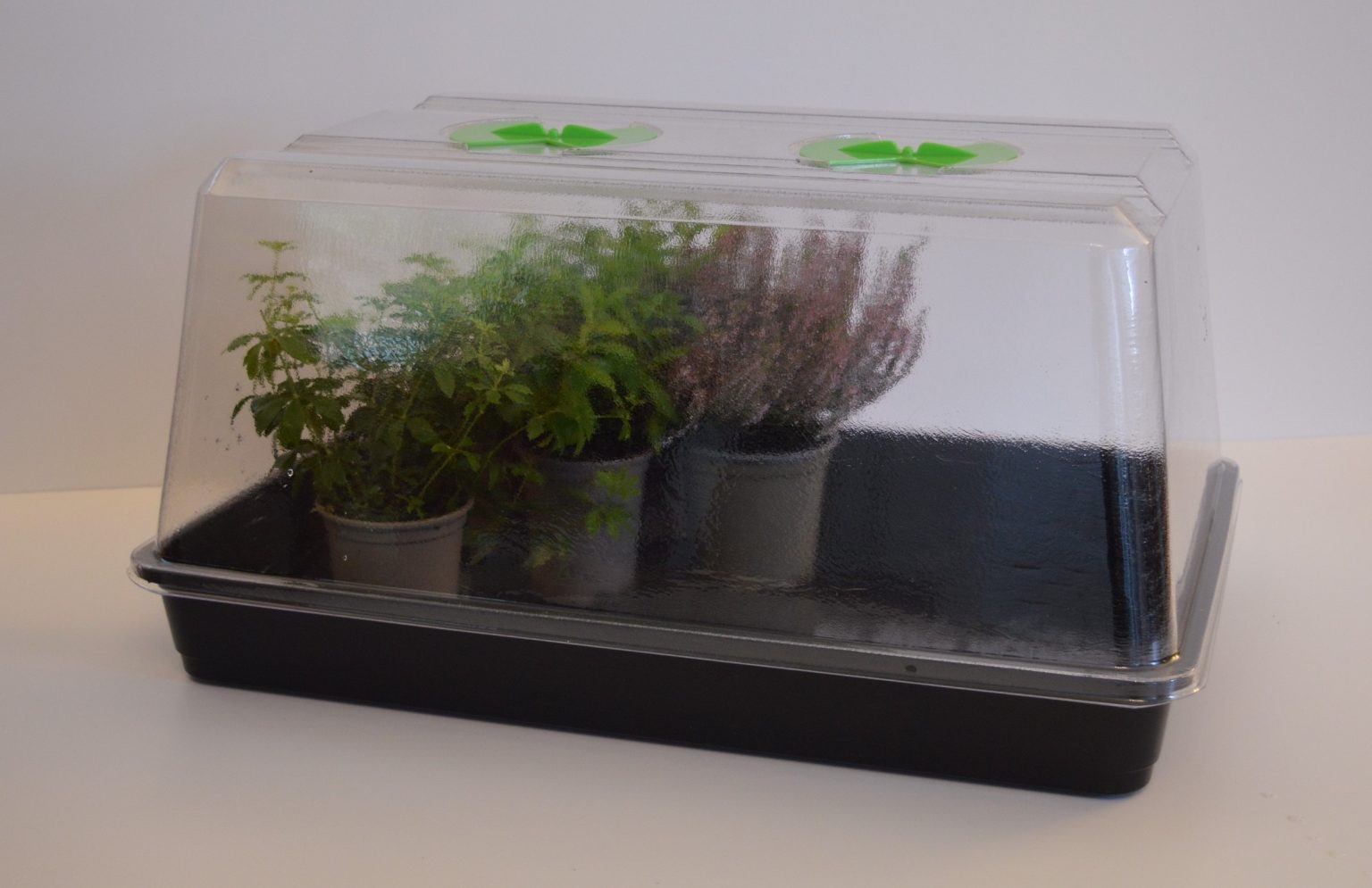 Unheated High Top Propagator - Greenhouse Sensation