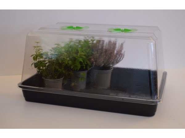 Unheated Propagation - Greenhouse Sensation