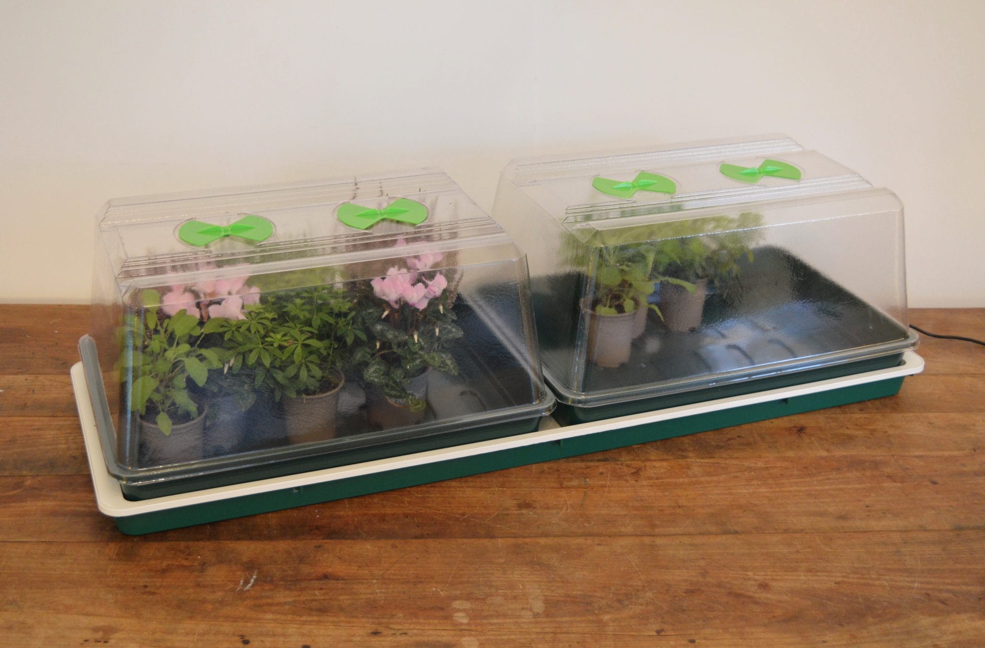 Double High Top Variable Temperature Control Electric Propagator ...