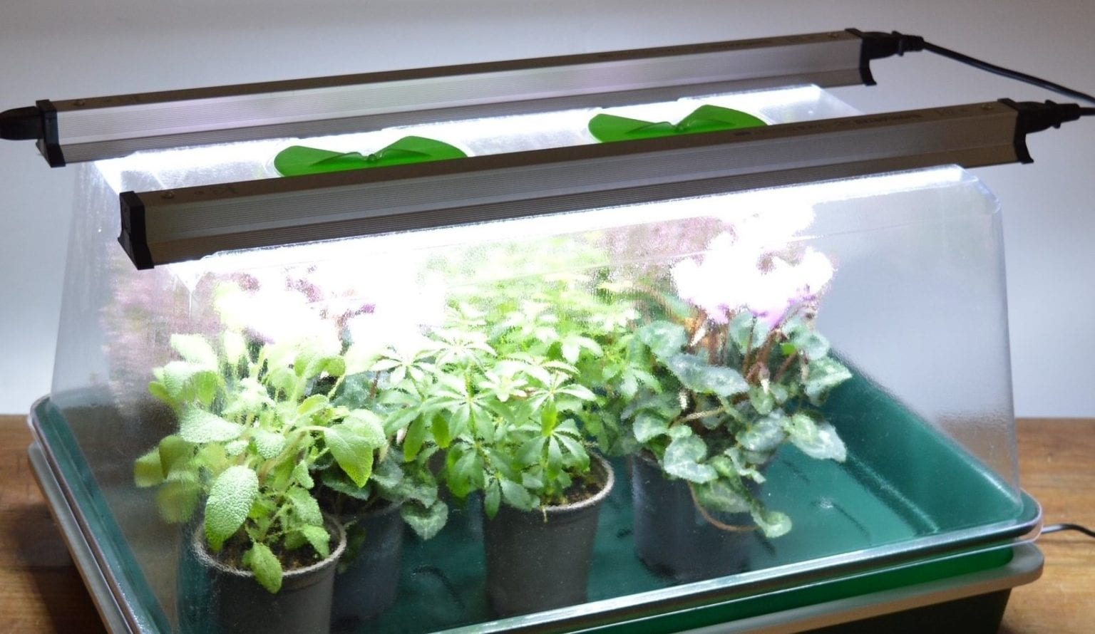 Single High Top 60cm LED Propagator Light Kit (32W) - Greenhouse Sensation