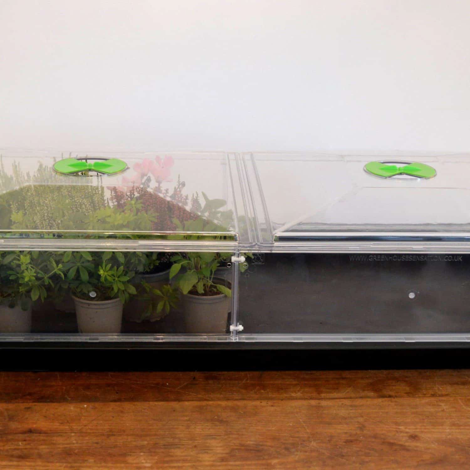 Large Unheated Vitopod Propagator - Greenhouse Sensation