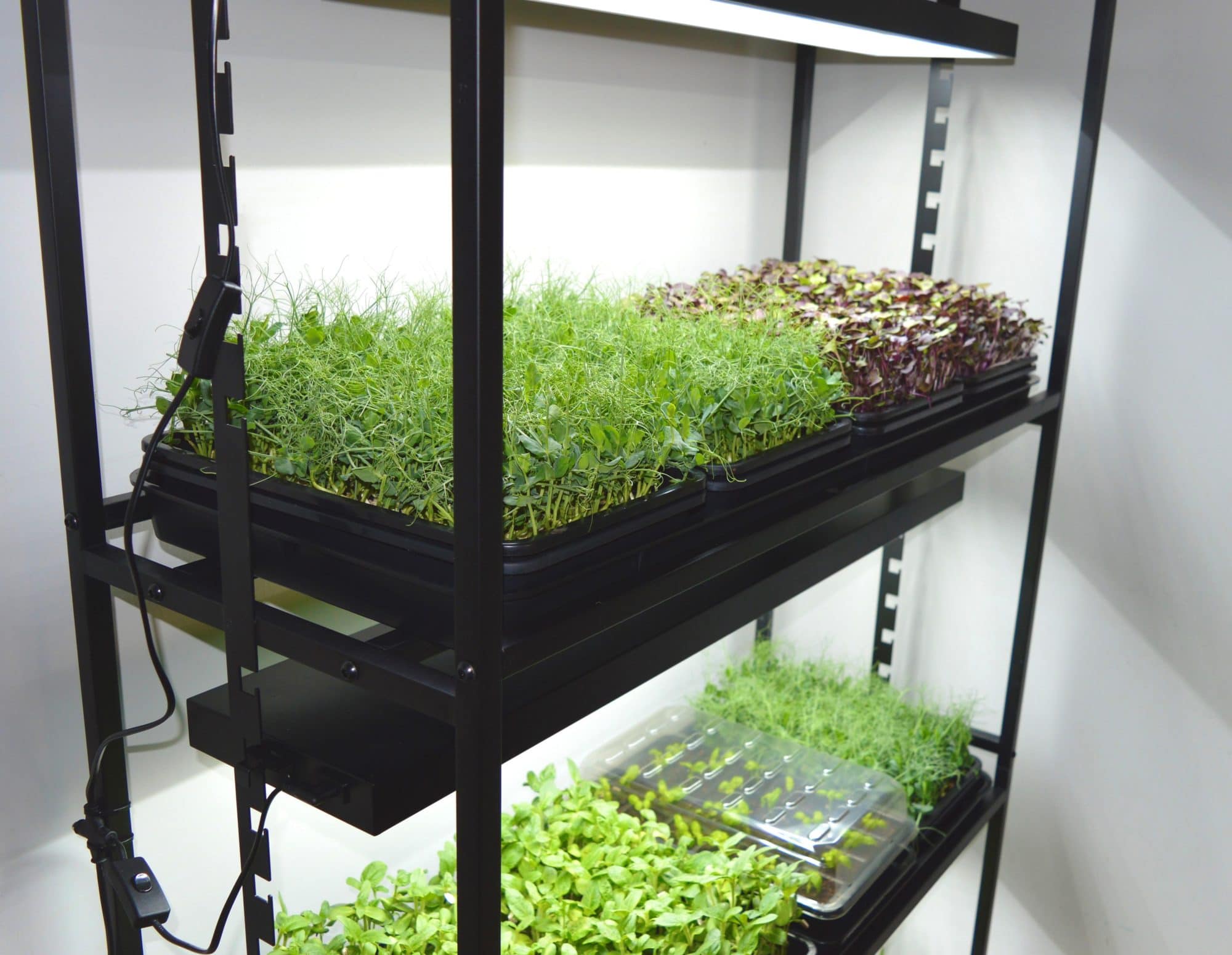 High-Rise LED Indoor Light Garden - Greenhouse Sensation