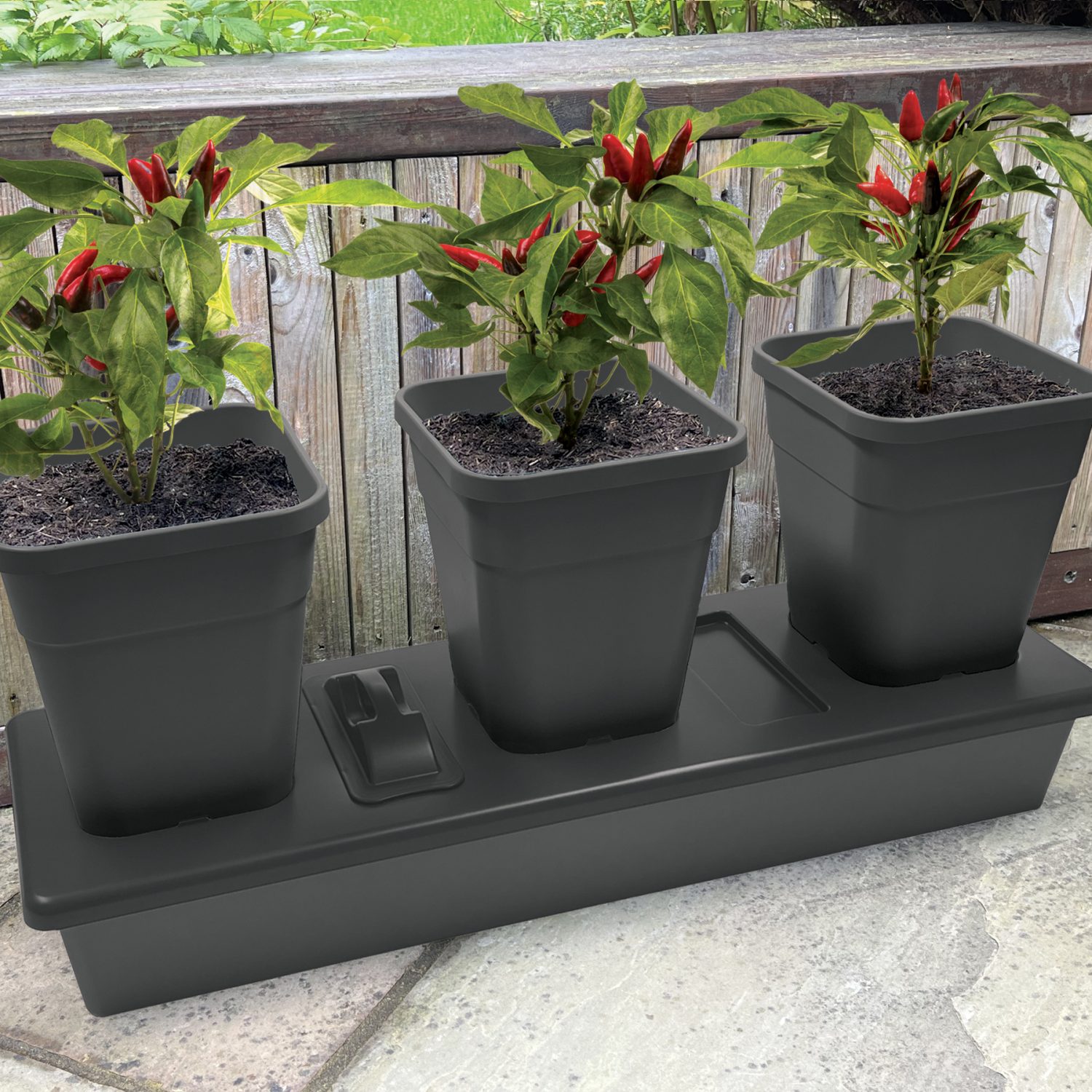 Chilligrow Planter - Greenhouse Sensation
