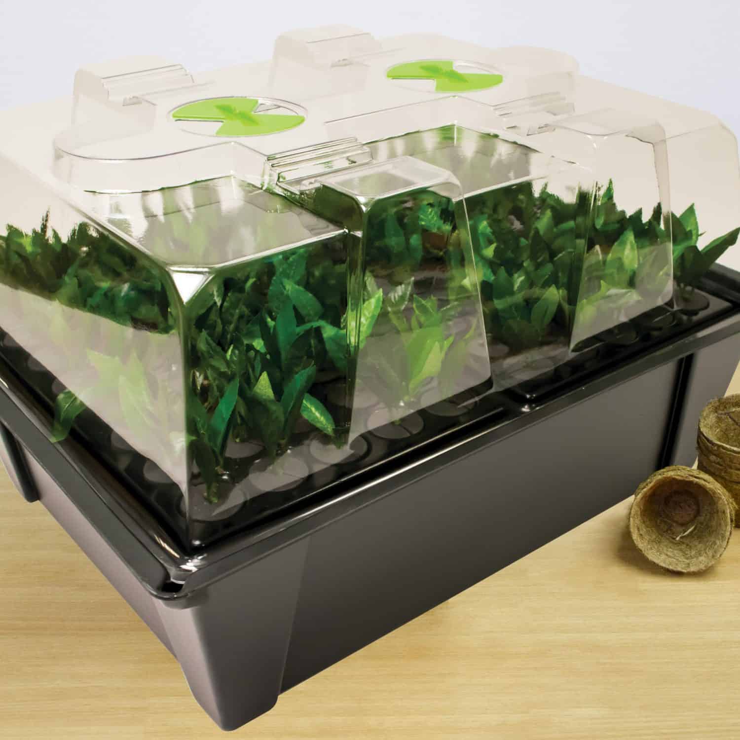 Hydropod 80 Cuttings Propagator - Greenhouse Sensation
