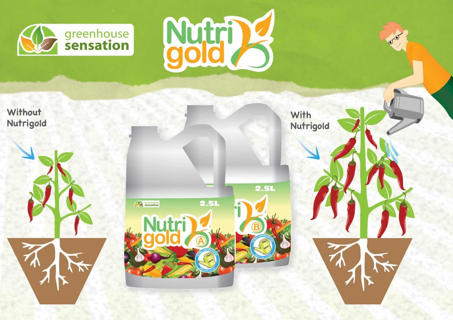 Nutrigold Nutrient 250g Refill Packs (A & B) - Greenhouse Sensation