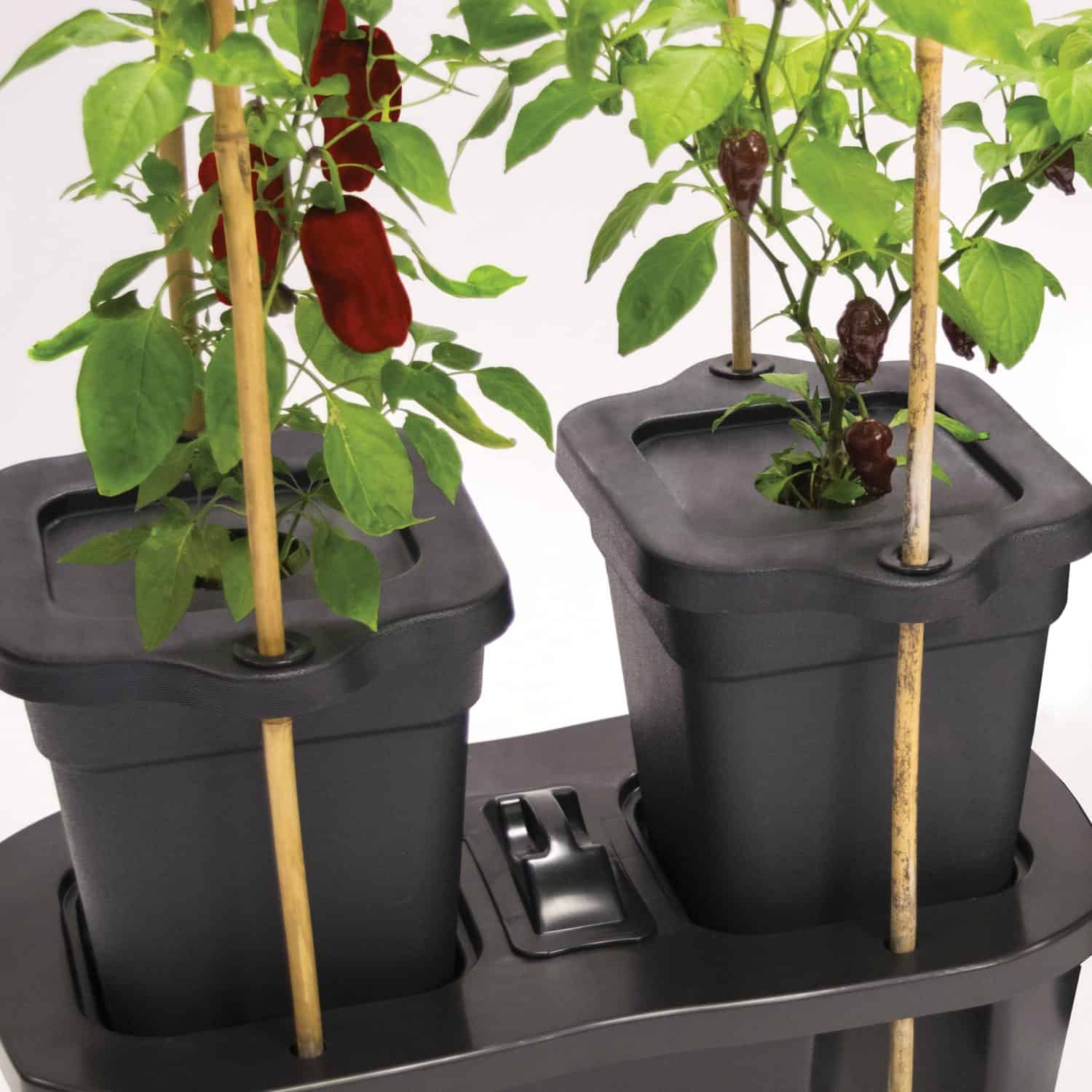 Mulch Caps For Quadgrow Self-Watering Planter (set of 4) - Greenhouse ...