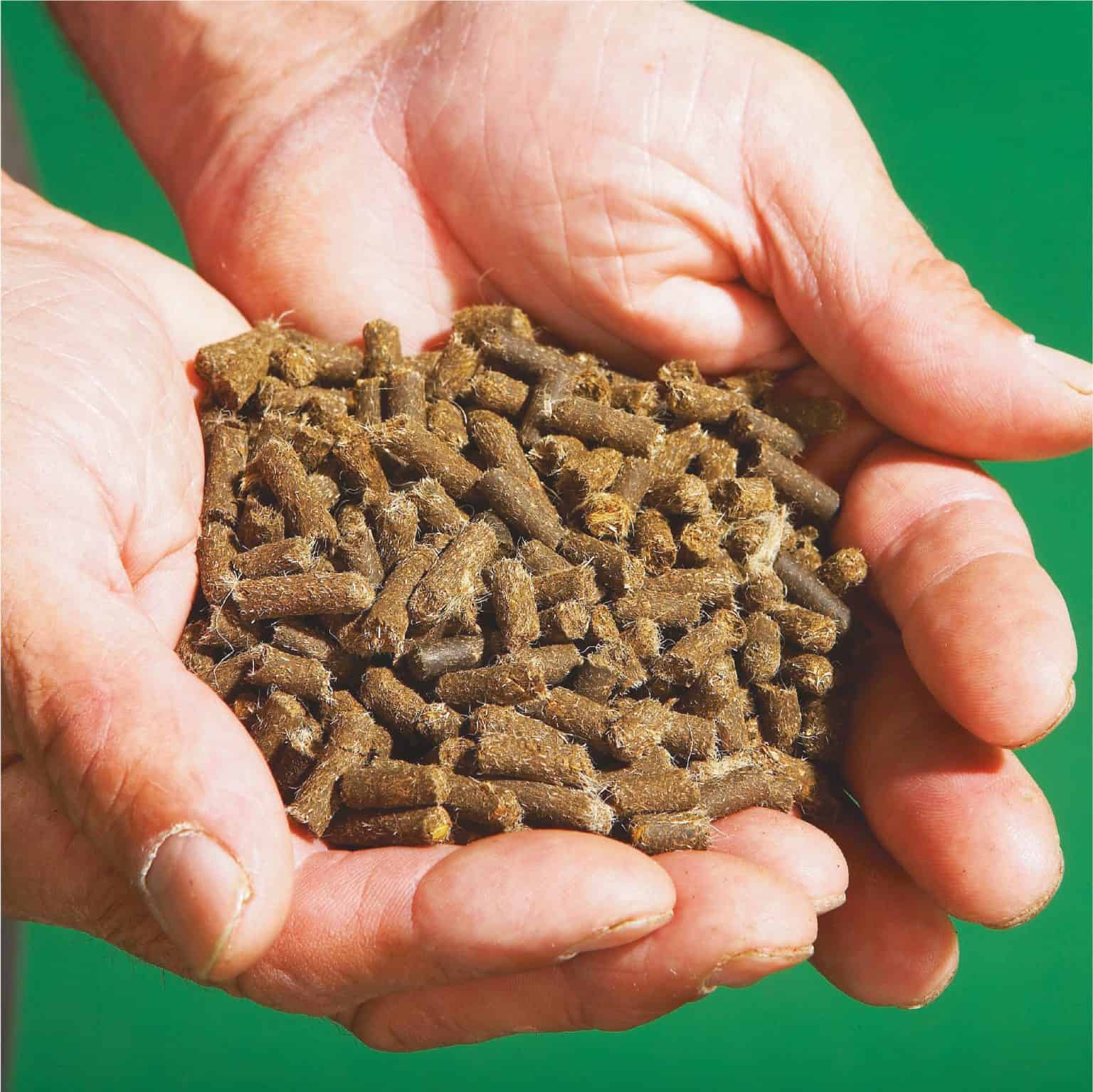 Slug Gone - Organic Slug Pellets - Greenhouse Sensation