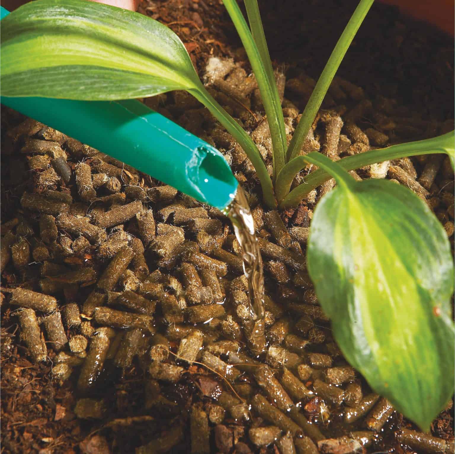 Slug Gone - Organic Slug Pellets - Greenhouse Sensation