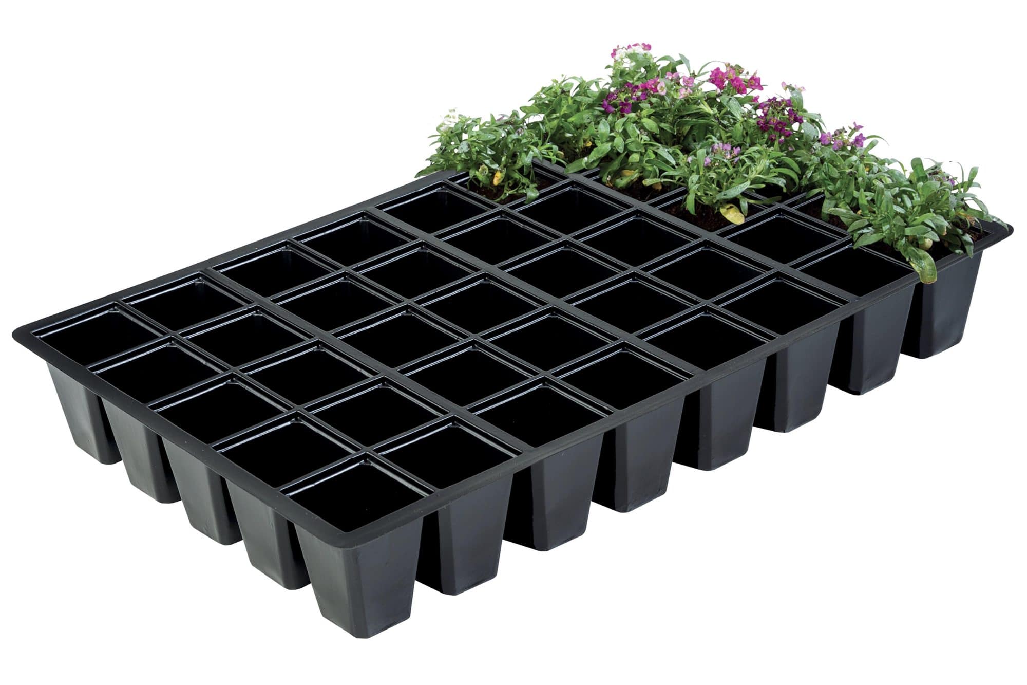 Professional 40 Cell Inserts (25) - Greenhouse Sensation