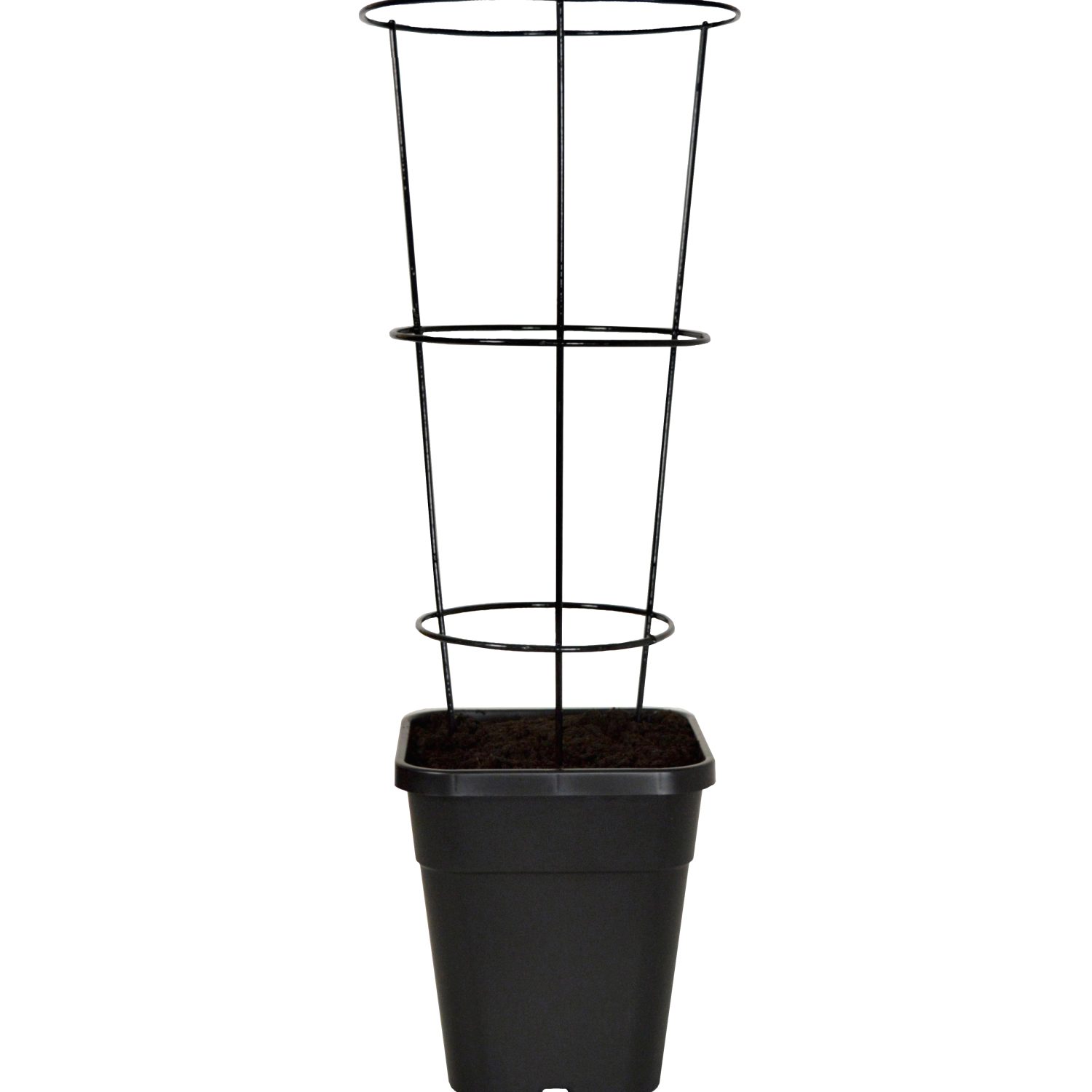 Plant Support Cone - 61cm high by 25cm dia. - Greenhouse Sensation