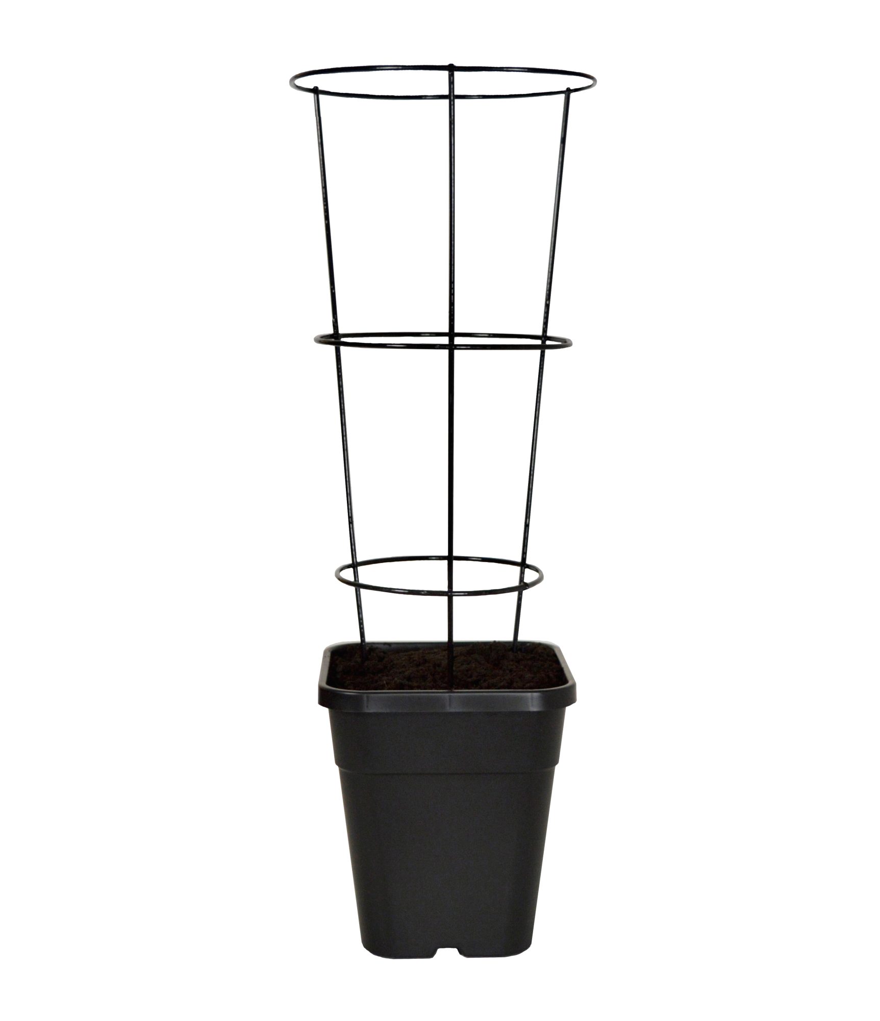 Plant Support Cone - 61cm high by 25cm dia. - Greenhouse Sensation